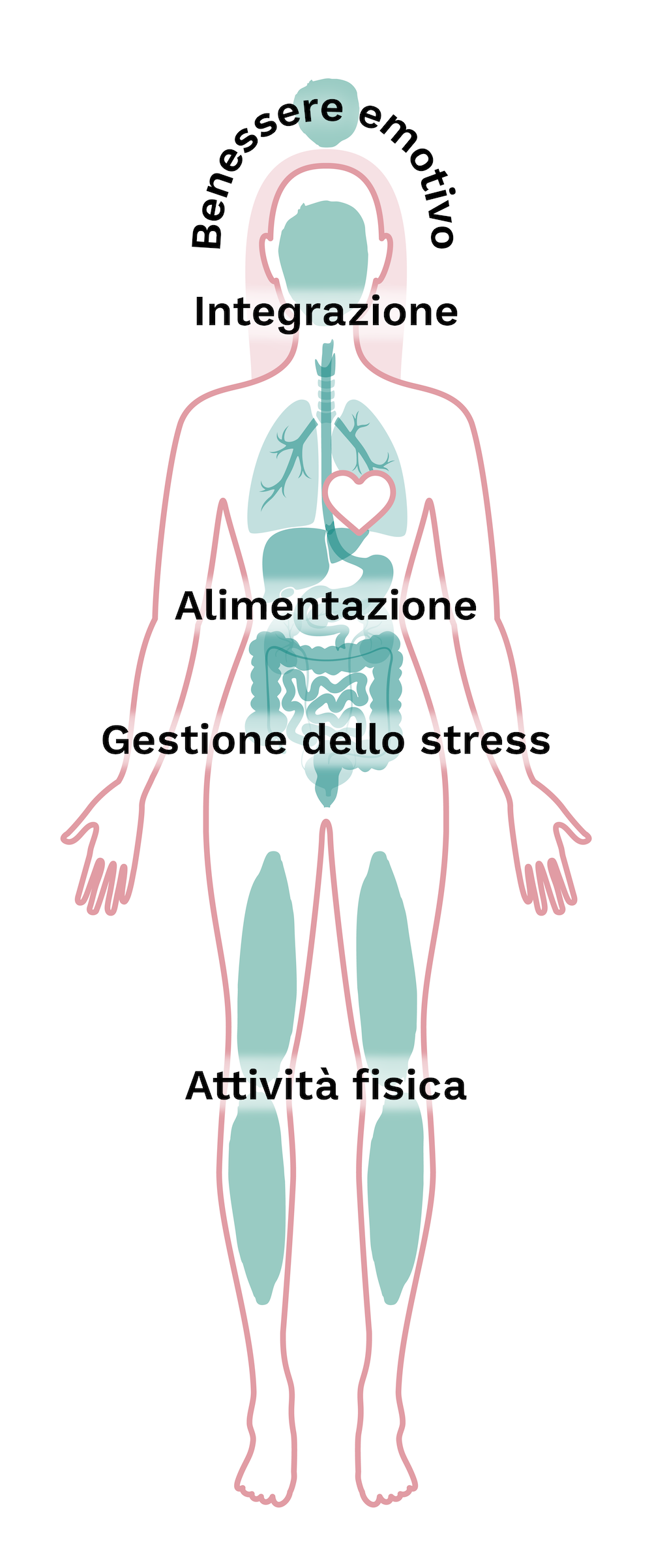 Dott.ssa Giulia Luciani - Medicina Nutrizionale Integrata